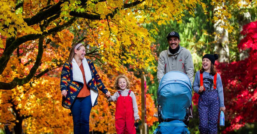 In pictures: Westonbirt’s striking autumnal walkways | Features | Group ...