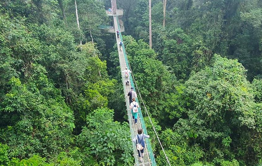 Borneo: highlights of our 13-day Malaysian tour | Group Leisure and Travel