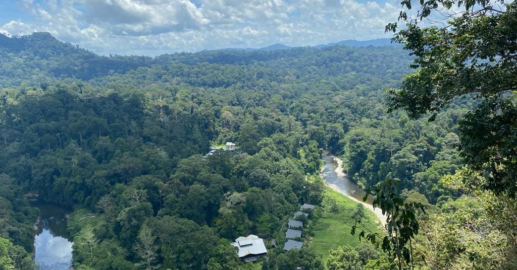 Borneo: highlights of our 13-day Malaysian tour | Group Leisure and Travel