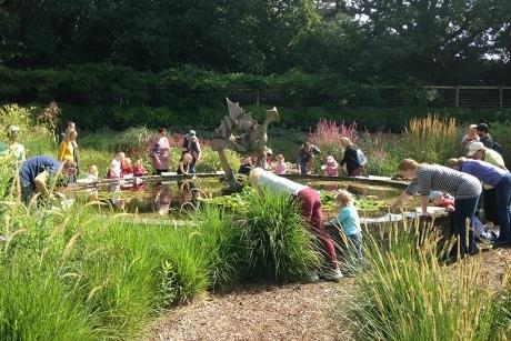 Knoll Gardens to run 25th anniversary programme of events | News ...