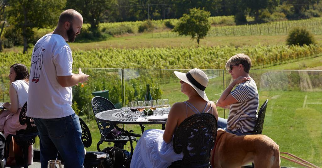5 English vineyards for groups to enjoy together | Features | Group ...