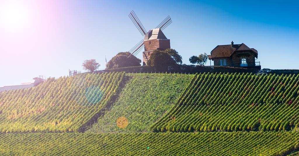 Jilly Goolden on wine, food and travel | Group Leisure and Travel