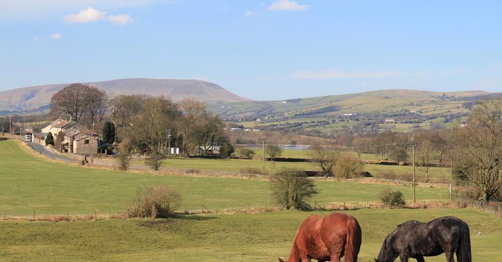 Strange-cations: 11 weird and wonderful places to visit in the UK ...