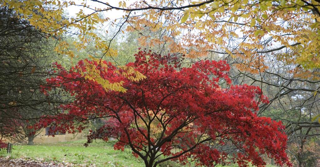 Picture this: some of the most beautiful places to visit in autumn ...