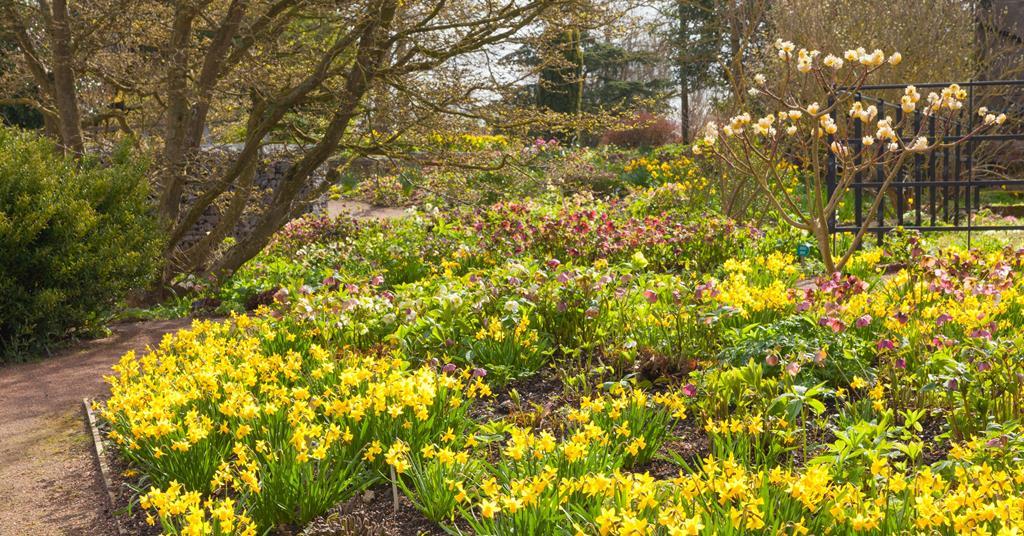 Photo gallery: 10 uplifting images from RHS gardens | Features | Group ...