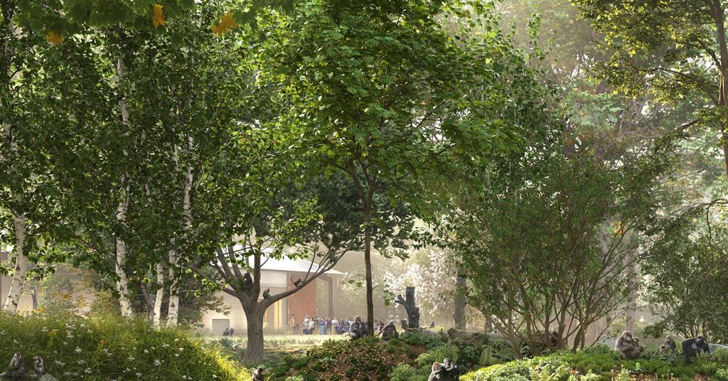 Gorillas prepare for spring home at Bristol Zoo Project | News | Group ...