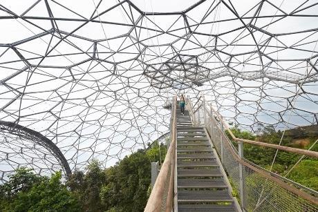 New rainforest walkway confirmed for Eden Project | News | Group ...