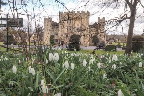 Hever Castle reveals dates for snowdrop season | News | Group Leisure ...