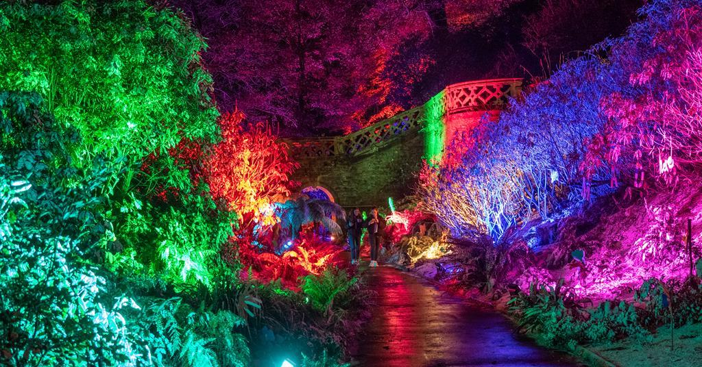 Historic venues show off their Christmas displays for the festive ...