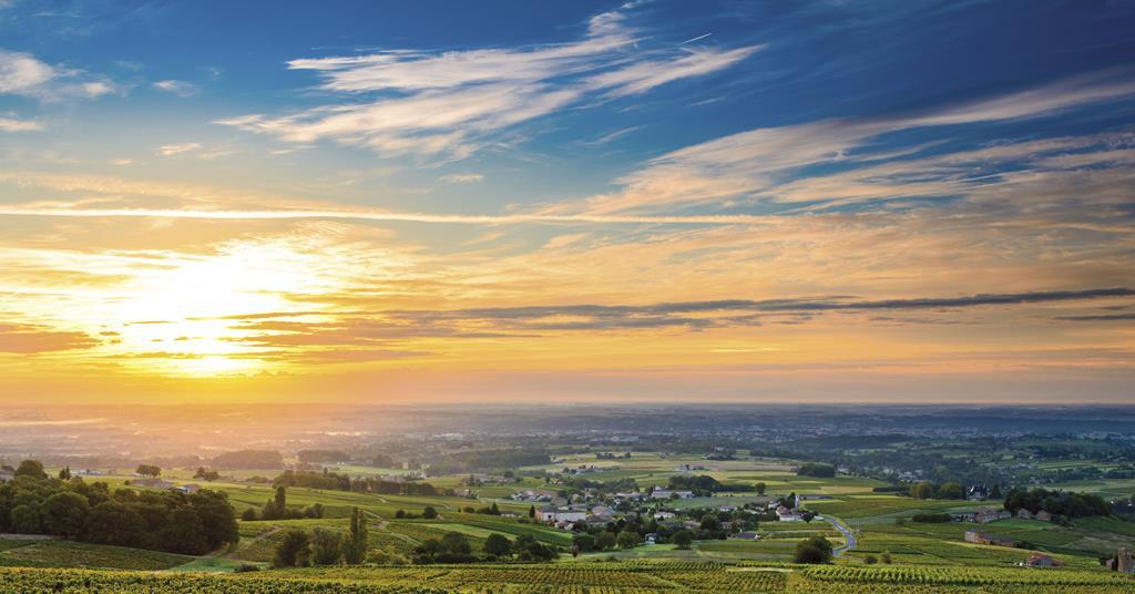 Scenic's 2026 Wine-Themed European River Cruises | Group Travel | Group ...