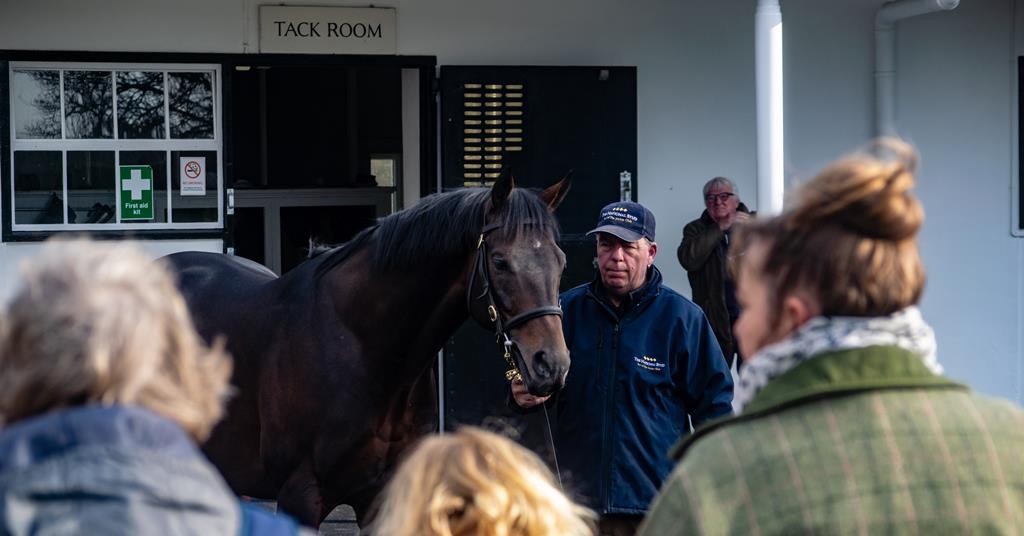 The National Stud: Meet new stallion on exclusive group tour with ...