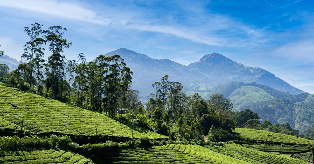 Explore Indian highlights on Ramble Worldwide walking tours | News ...