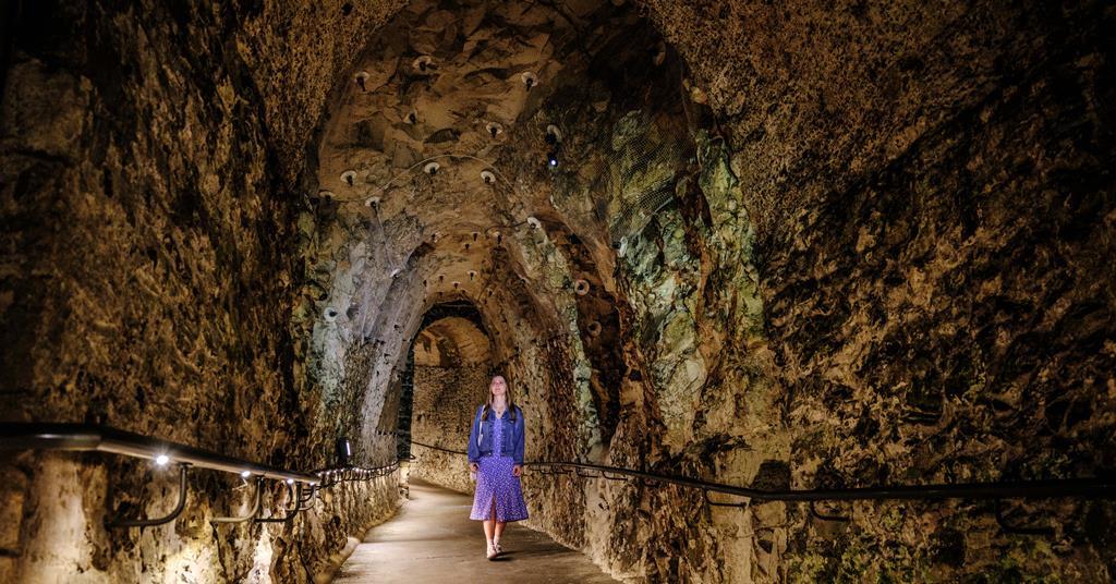 Dover Castle opens new experience to explore its history | News | Group ...
