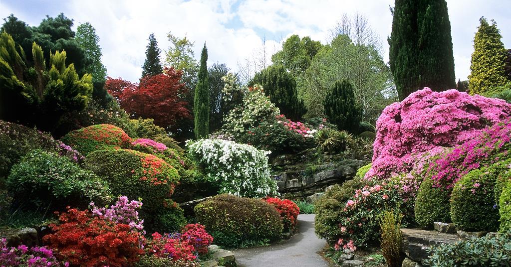 Leonardslee Lakes Gardens in Sussex reopens after major restoration project News Group Leisure and Travel