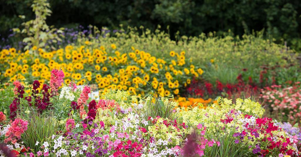 Afternoon tea and picnic packages for groups visiting RHS Garden Hyde ...