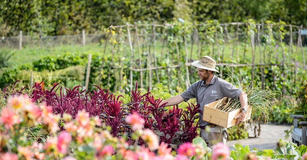 Afternoon tea and picnic packages for groups visiting RHS Garden Hyde ...