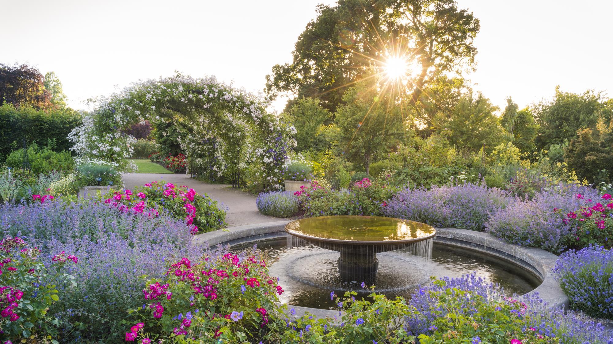 Highlights from the RHS gardens’ 2020 calendar | Features | Group ...