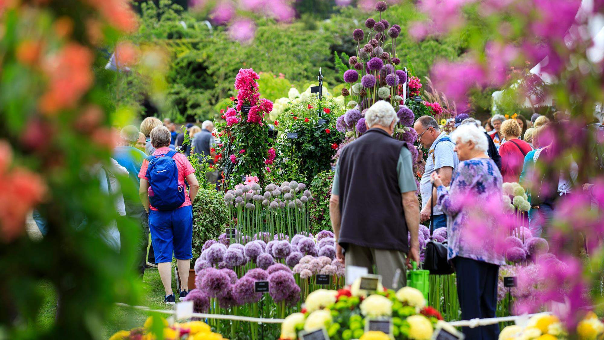 Autumn highlights for groups across all five RHS gardens | Features ...