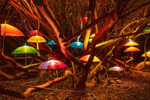 Magical garden display to light up Heligan | News | Group Leisure and ...