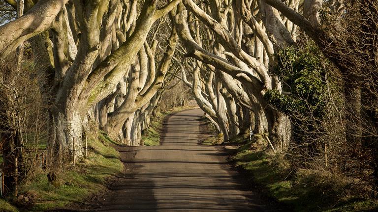 8 of the most beautiful places in… Northern Ireland | Destination ...