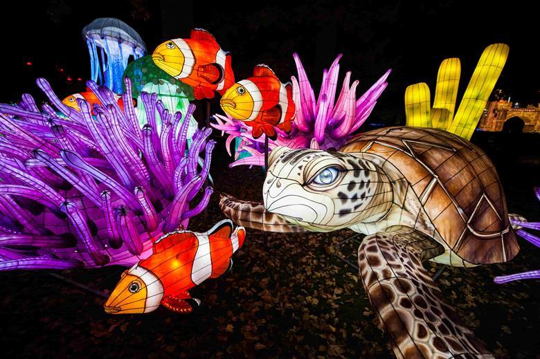 Theme revealed for Longleat's Festival of Light 2019 | News | Group ...